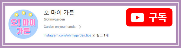 [오마이가든] 고흐의 길, 향나무가 있는 풍경 Van Gogh's Road, A Juniper Garden |정원의 발견 ...